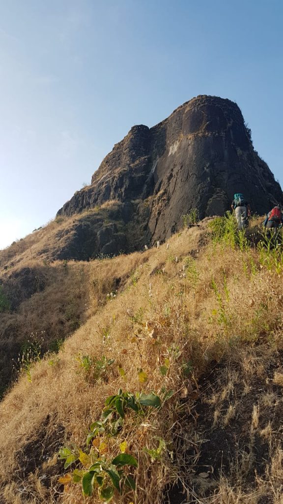 Why Torna Fort Trek is Every Adventure Seeker’s Dream Trail – bmt